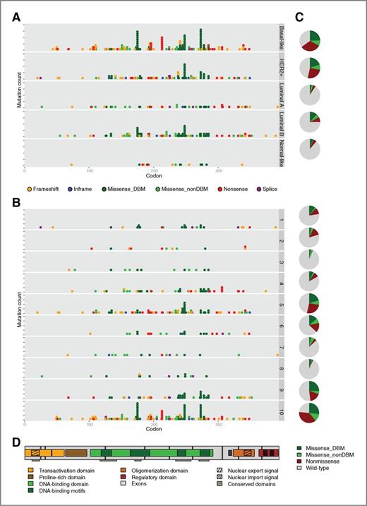 Tp53 Mutation Spectrum In Breast Cancer Is Subtype Specific And Has