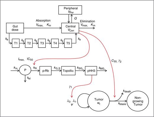 Semi-Mechanistic Pharmacokinetic/Pharmacodynamic Modeling of the Antitumor Activity of LY2835219 ...