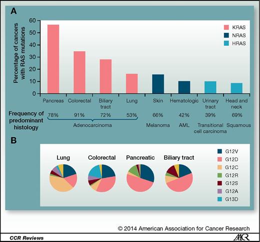 A RAS Renaissance: Emerging Targeted Therapies for KRAS-Mutated Non ...