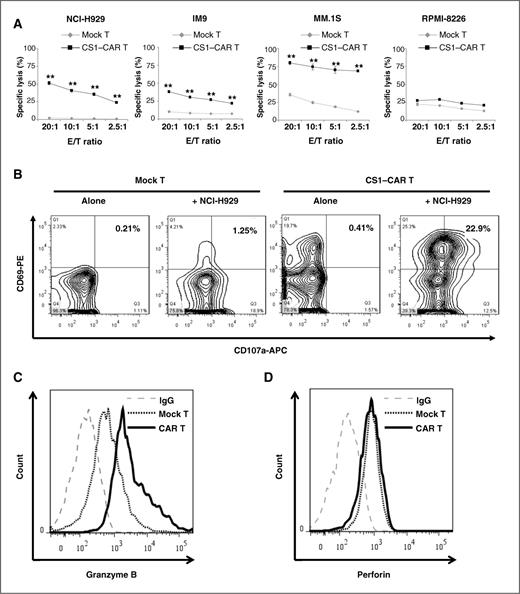 Genetic Modification of T Cells Redirected toward CS1 Enhances ...