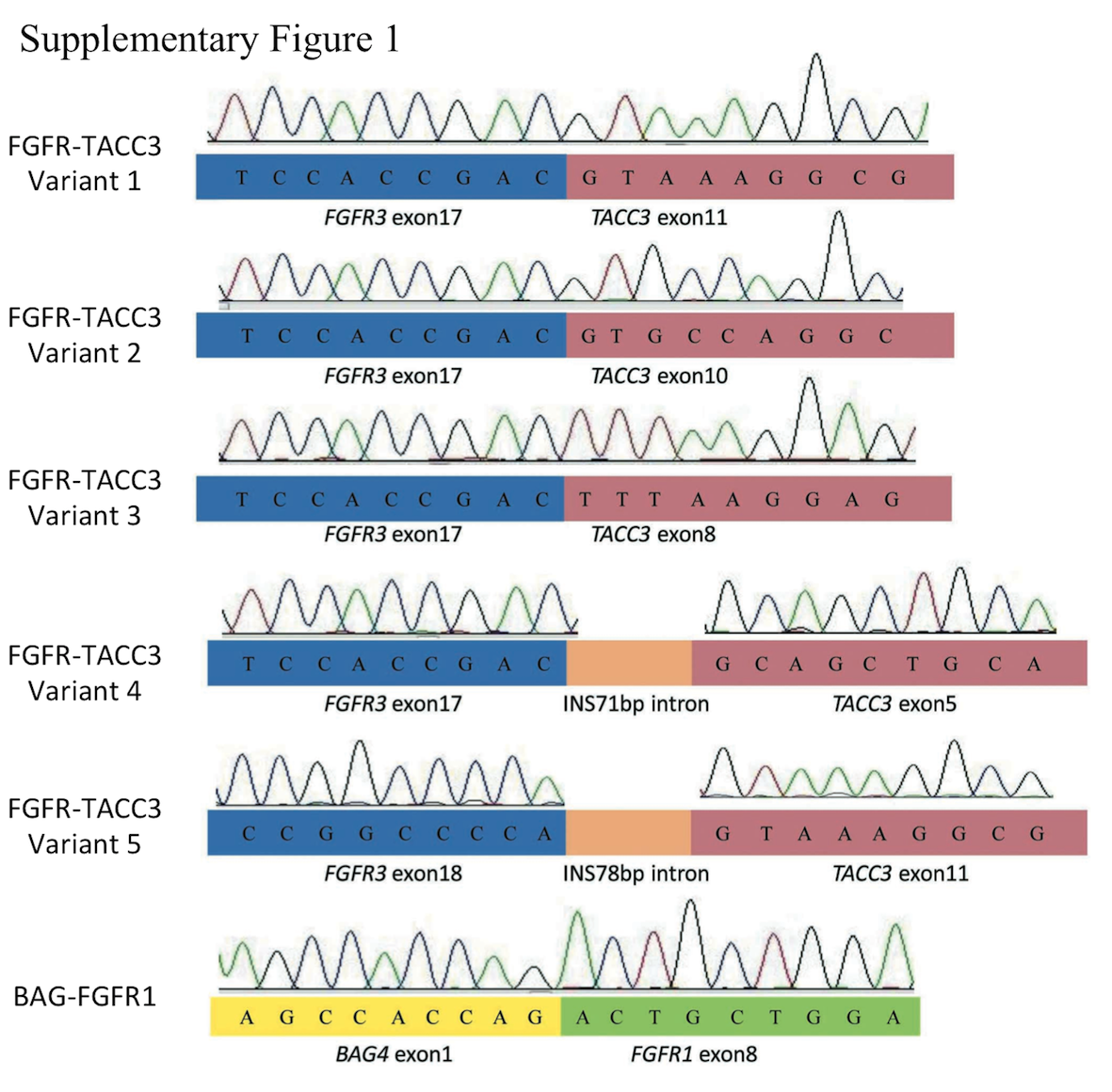 FGFR1/3 Tyrosine Kinase Fusions Define a Unique Molecular Subtype of ...