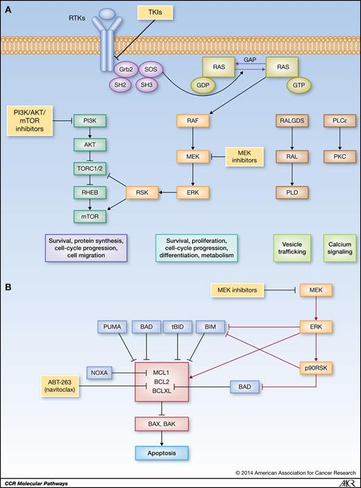 Molecular Pathways: The Basis for Rational Combination Using MEK ...