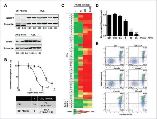 On-Target Effect of FK866, a Nicotinamide Phosphoribosyl Transferase ...