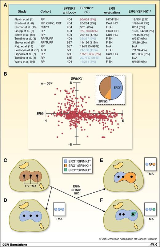 Prostate Cancer SubtyPINg BiomarKers and Outcome: Is Clarity EmERGing ...