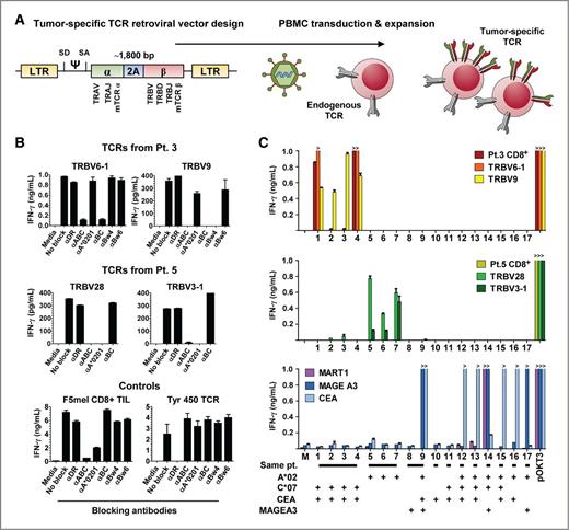 Tumor-Reactive CD8+ T Cells in Metastatic Gastrointestinal Cancer ...