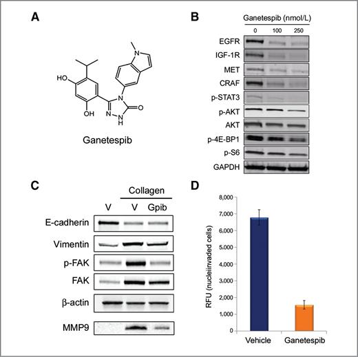 Preclinical Activity Profile and Therapeutic Efficacy of the HSP90 ...