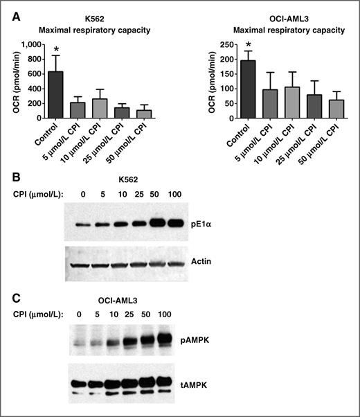 A Phase I Study of the First-in-Class Antimitochondrial Metabolism ...