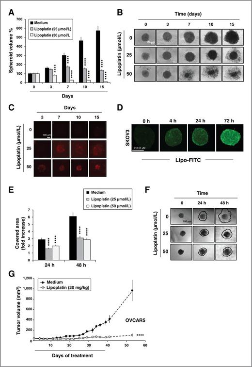 Preclinical Activity of the Liposomal Cisplatin Lipoplatin in Ovarian ...