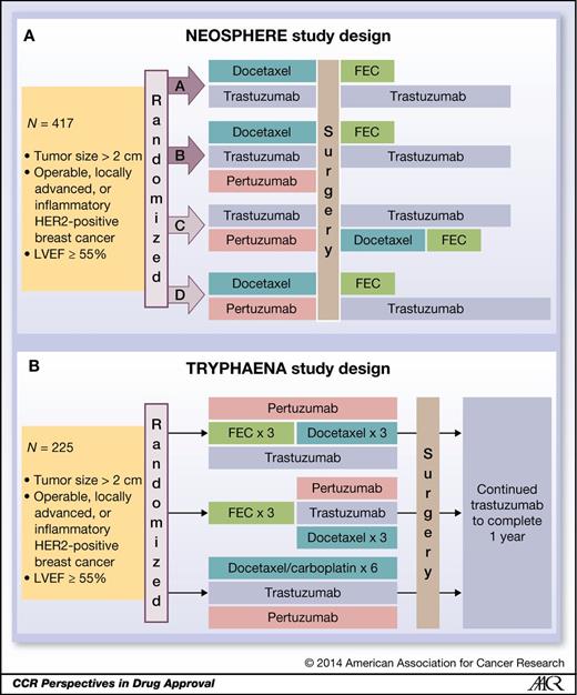 First FDA Approval of Neoadjuvant Therapy for Breast Cancer: Pertuzumab ...