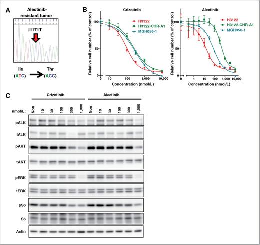 Two Novel ALK Mutations Mediate Acquired Resistance to the Next ...