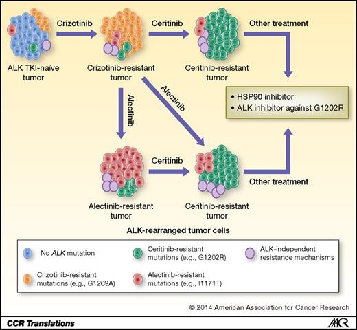 Perfect ALKemy: Optimizing the Use of ALK-Directed Therapies in Lung ...