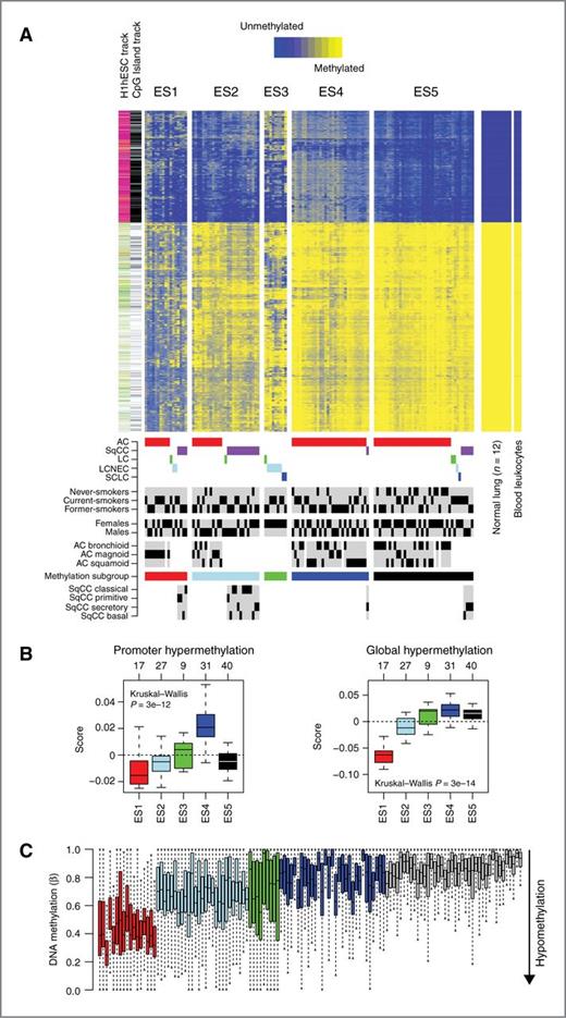 Genome-wide DNA Methylation Analysis of Lung Carcinoma Reveals One Neuroendocrine and Four ...