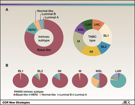 New Strategies for Triple-Negative Breast Cancer—Deciphering the ...