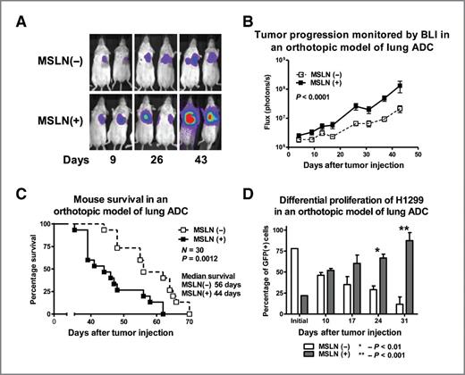 Mesothelin Overexpression Is a Marker of Tumor Aggressiveness and Is ...