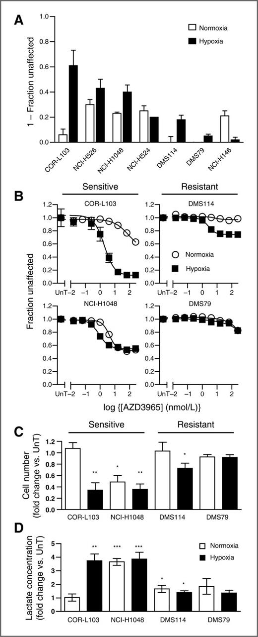 Activity of the Monocarboxylate Transporter 1 Inhibitor AZD3965 in ...
