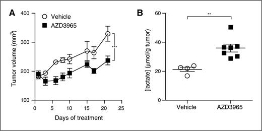 Activity of the Monocarboxylate Transporter 1 Inhibitor AZD3965 in ...