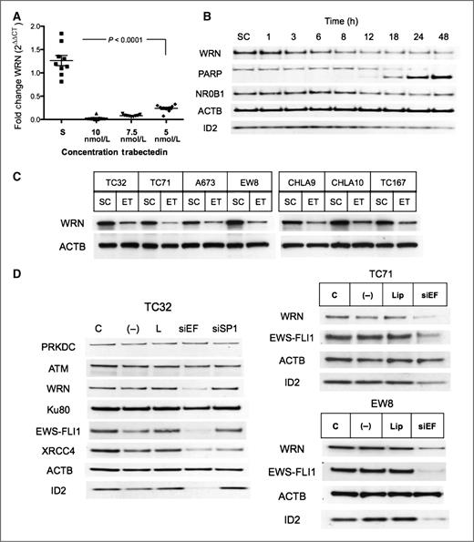 Dual Targeting of EWS-FLI1 Activity and the Associated DNA Damage ...