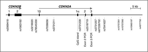 Inactivation of the CDKN2A Tumor-Suppressor Gene by Deletion or ...