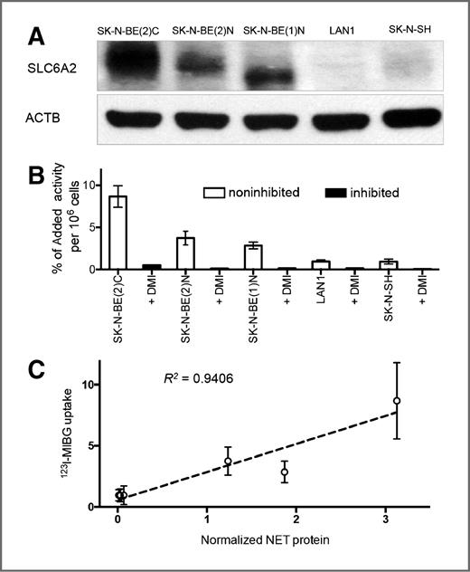 Imaging the Norepinephrine Transporter in Neuroblastoma: A Comparison ...