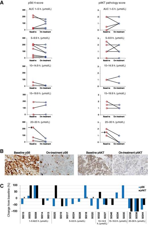 First-in-Human Phase I Study of Pictilisib (GDC-0941), a Potent Pan ...