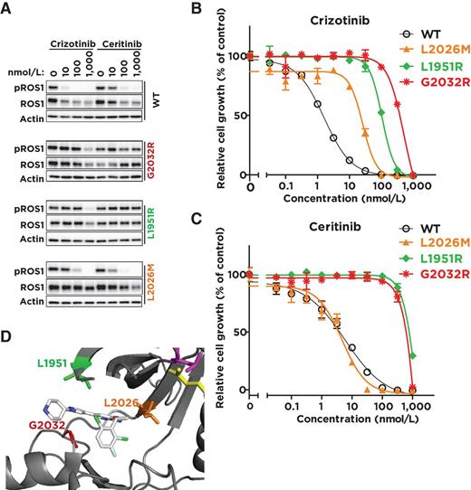 Cabozantinib Overcomes Crizotinib Resistance in ROS1 Fusion–Positive ...