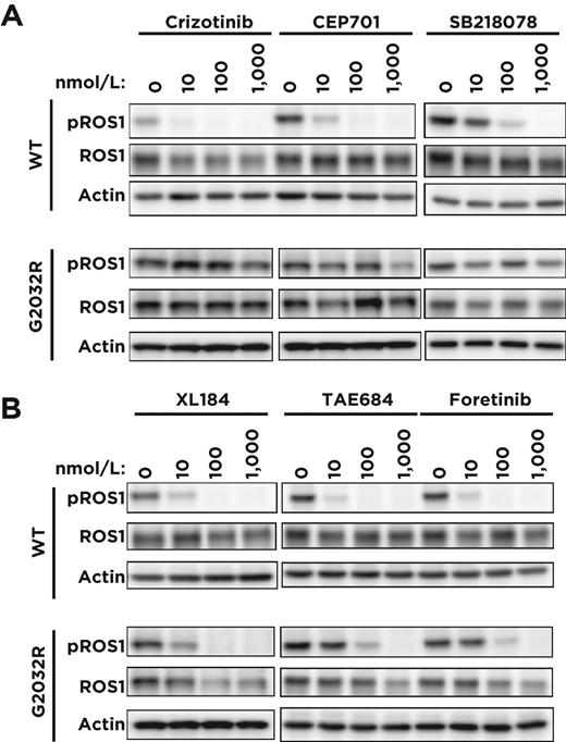 Cabozantinib Overcomes Crizotinib Resistance in ROS1 Fusion–Positive ...