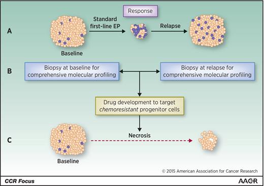 Small Cell Lung Cancer: Will Recent Progress Lead to Improved Outcomes ...