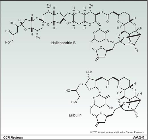 Eribulin Mesylate: Mechanism of Action of a Unique Microtubule ...