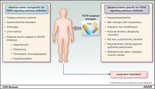Targeting FGFR Signaling in Cancer | Clinical Cancer Research ...