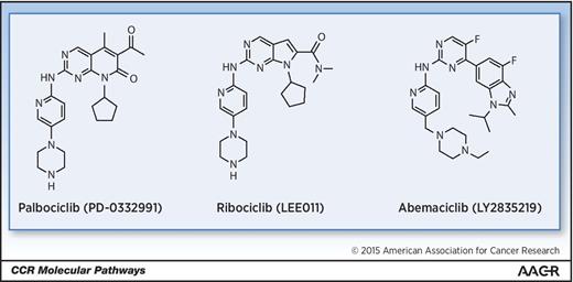 Molecular Pathways: Targeting the Cyclin D–CDK4/6 Axis for Cancer ...