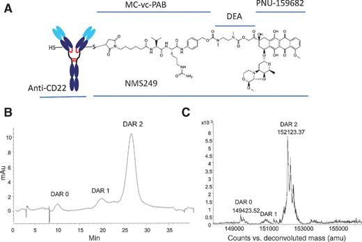 A Novel Anti-CD22 Anthracycline-Based Antibody–Drug Conjugate (ADC ...