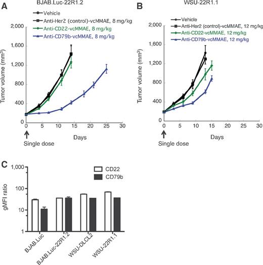 A Novel Anti-CD22 Anthracycline-Based Antibody–Drug Conjugate (ADC ...