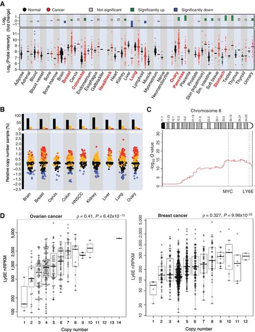 An Antibody–Drug Conjugate Directed against Lymphocyte Antigen 6 ...