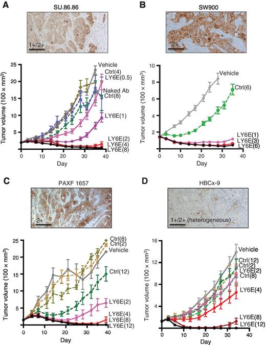 An Antibody–Drug Conjugate Directed against Lymphocyte Antigen 6 ...