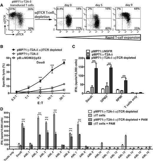 Untouched GMP-Ready Purified Engineered Immune Cells to Treat Cancer ...