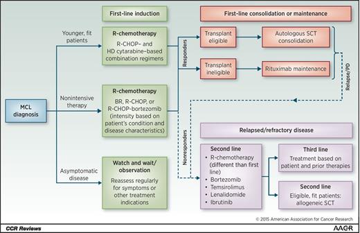 Refining the Mantle Cell Lymphoma Paradigm: Impact of Novel Therapies ...