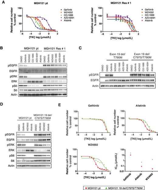 The Allelic Context of the C797S Mutation Acquired upon Treatment with ...