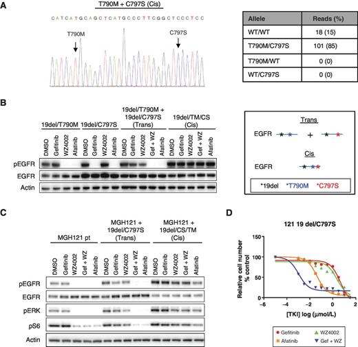The Allelic Context of the C797S Mutation Acquired upon Treatment with ...