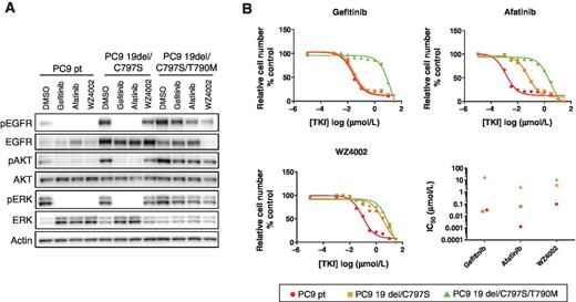 The Allelic Context of the C797S Mutation Acquired upon Treatment with ...