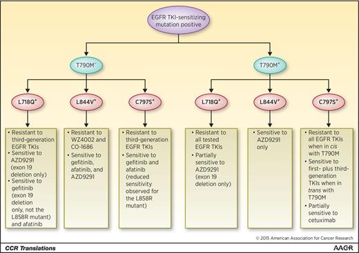 Emerging Agents and New Mutations in EGFR-Mutant Lung Cancer | Clinical ...