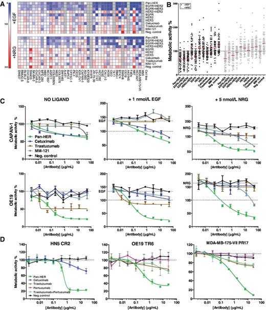 Pan-HER, an Antibody Mixture Simultaneously Targeting EGFR, HER2, and ...