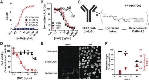 Anti-EFNA4 Calicheamicin Conjugates Effectively Target Triple-Negative ...