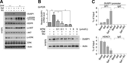 DUSP1 Expression Induced by HDAC1 Inhibition Mediates Gefitinib ...