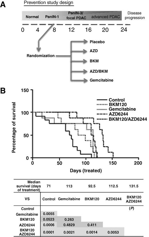 Combined MEK and PI3K Inhibition in a Mouse Model of Pancreatic Cancer ...