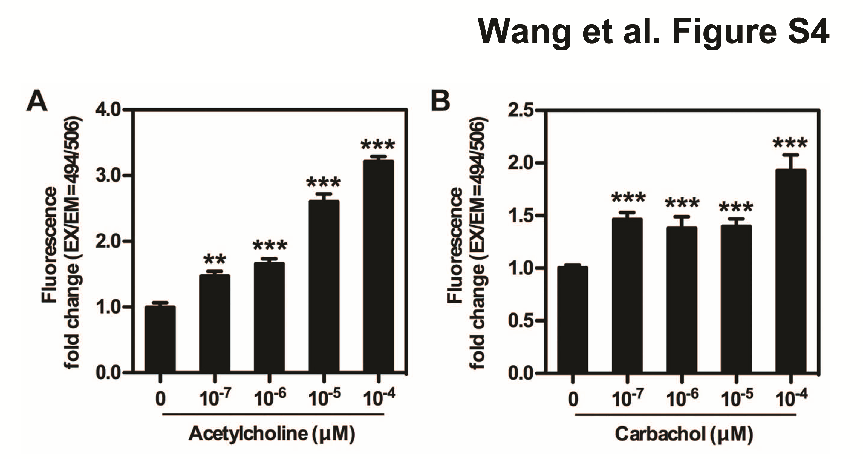 Autocrine Activation of CHRM3 Promotes Prostate Cancer Growth and ...