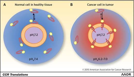 Imaging Tumor Acidity: pH-Low Insertion Peptide Probe for Optoacoustic ...