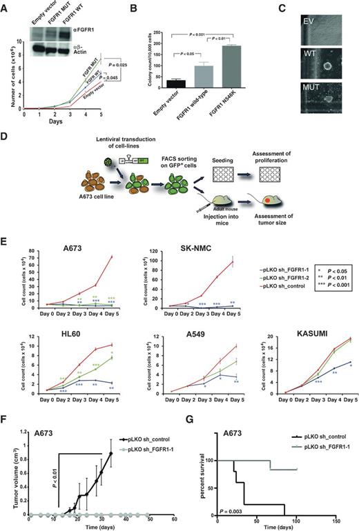 Deep Sequencing in Conjunction with Expression and Functional Analyses ...