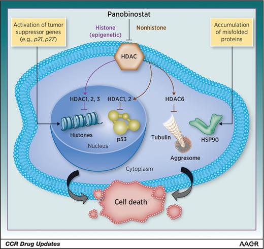 Panobinostat for the Treatment of Multiple Myeloma | Clinical Cancer ...