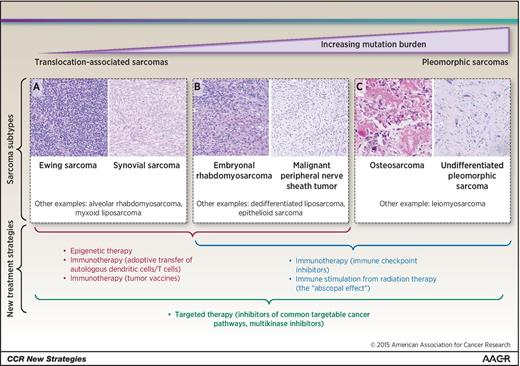 New Strategies in Sarcoma: Linking Genomic and Immunotherapy Approaches ...