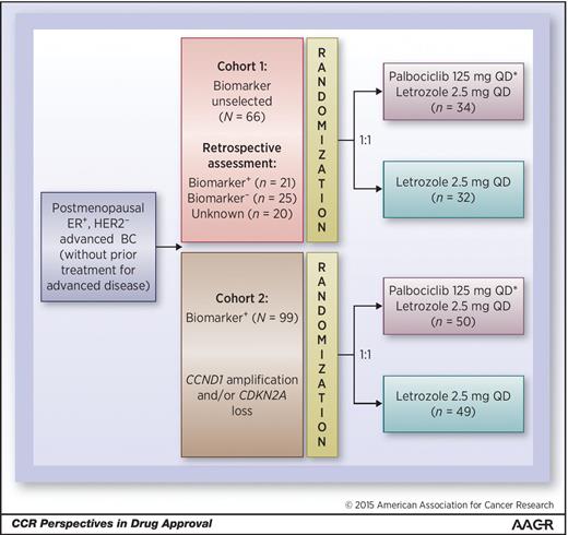 FDA Approval: Palbociclib for the Treatment of Postmenopausal Patients ...